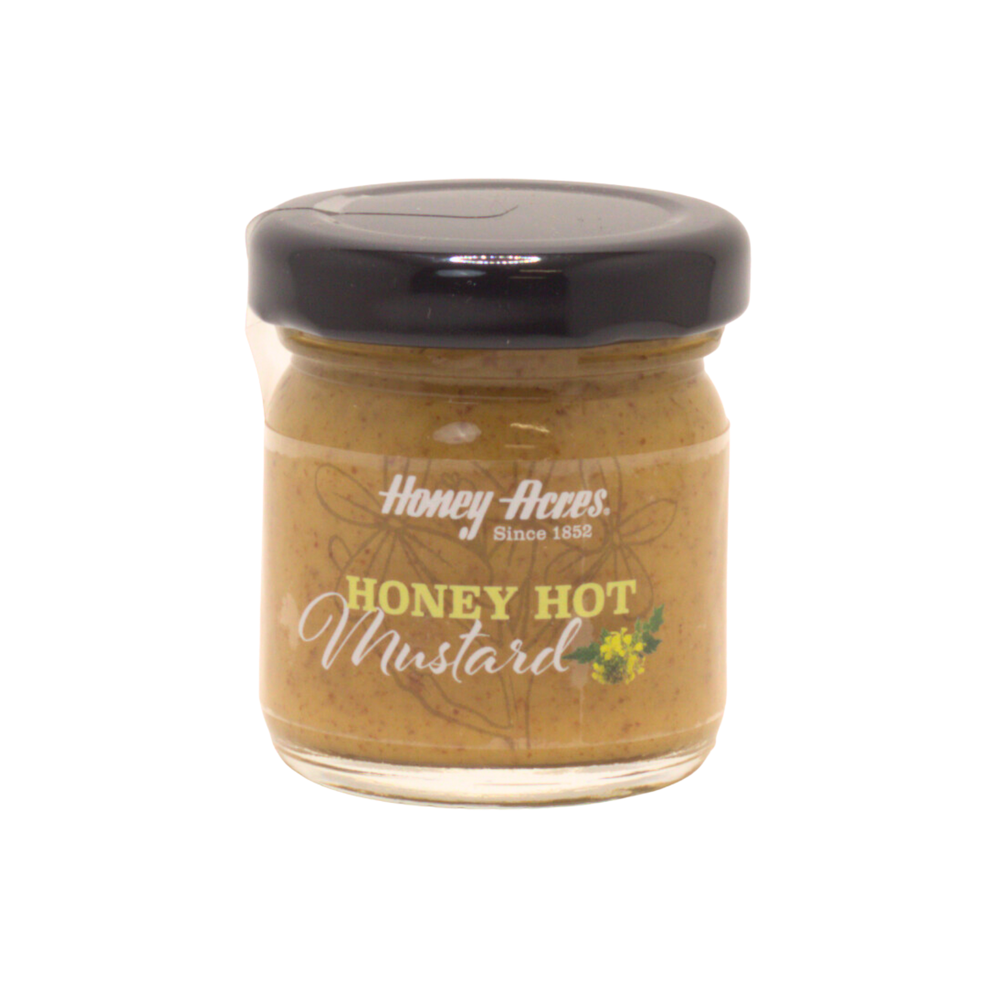 Honey & Sweet-Hot Mustard — National Mustard Museum